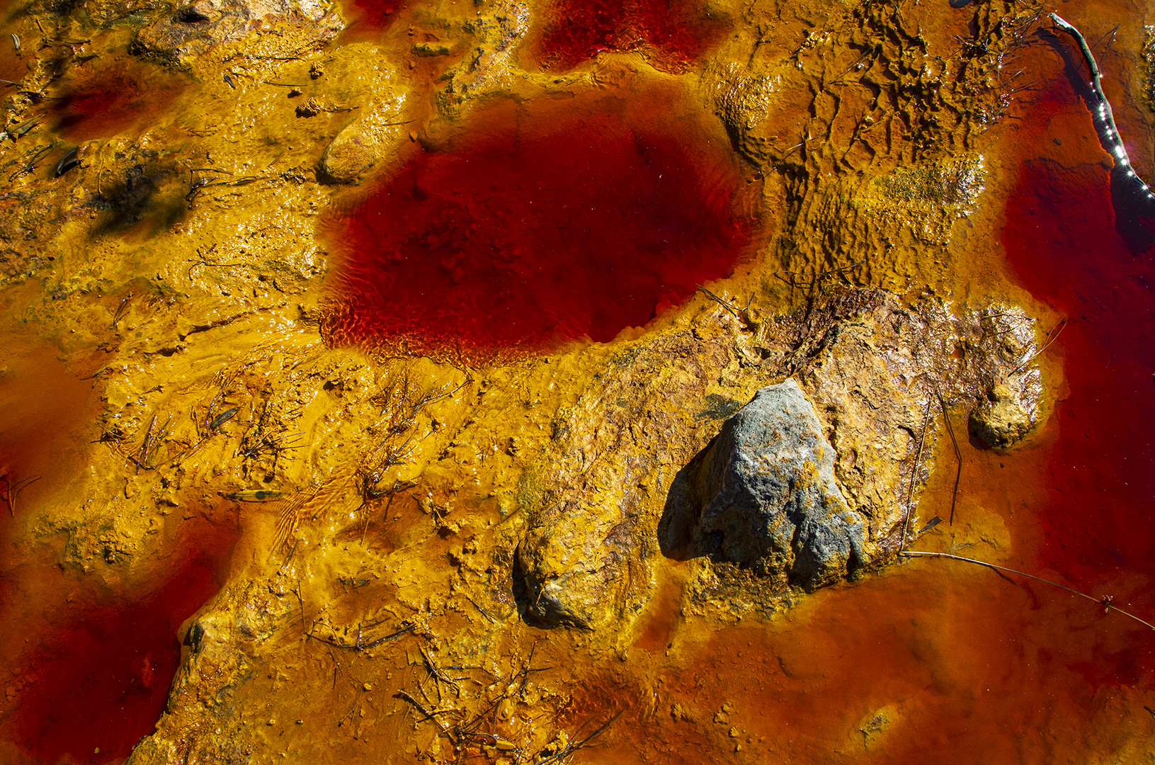 Colores Del Tinto Confederaci N Espa Ola De Fotograf A