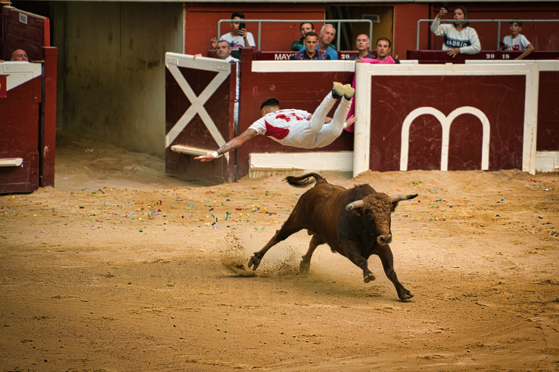 Vuelo aporta gayola | Confederación Española de Fotografía