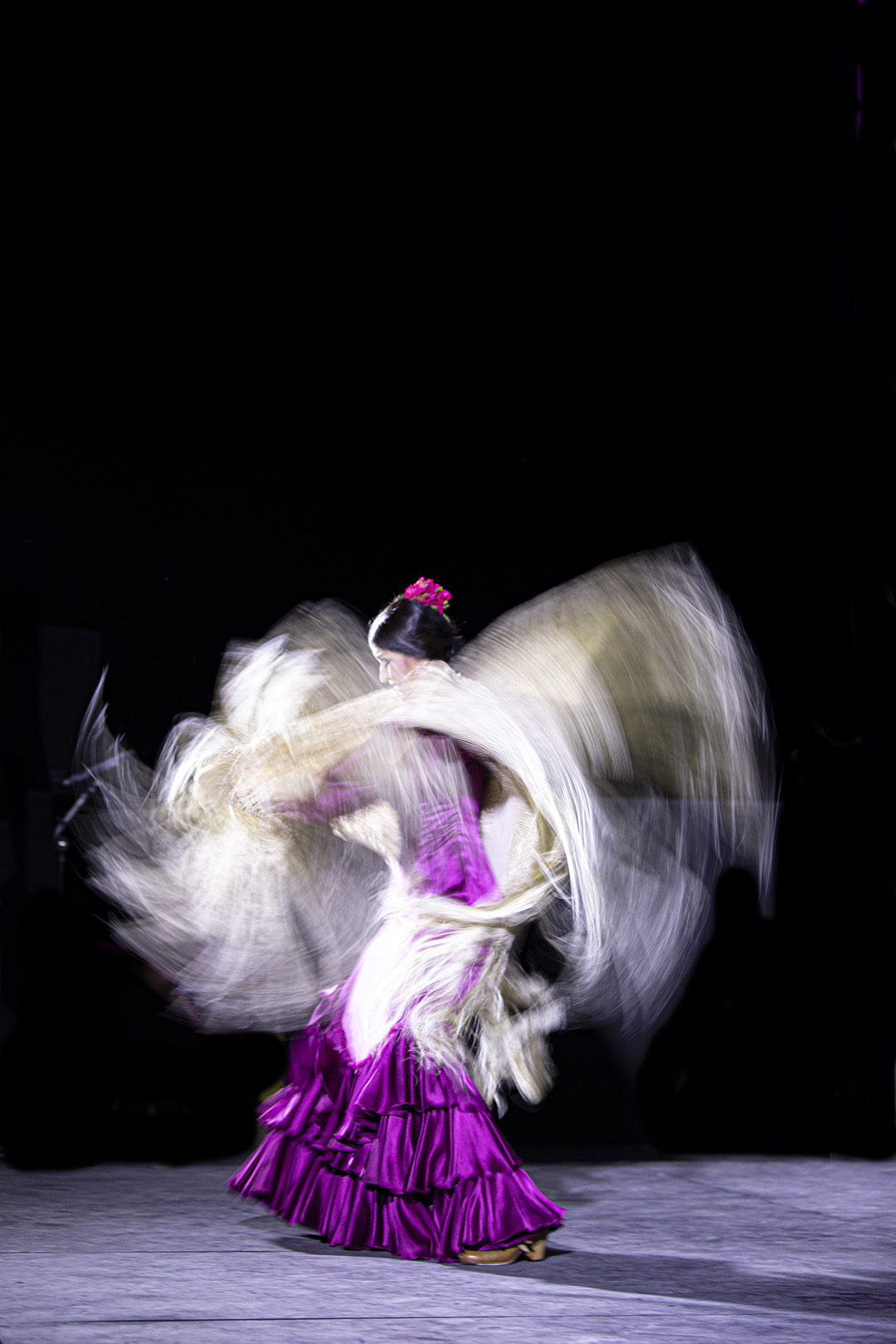 BAILAORA | Confederación Española de Fotografía