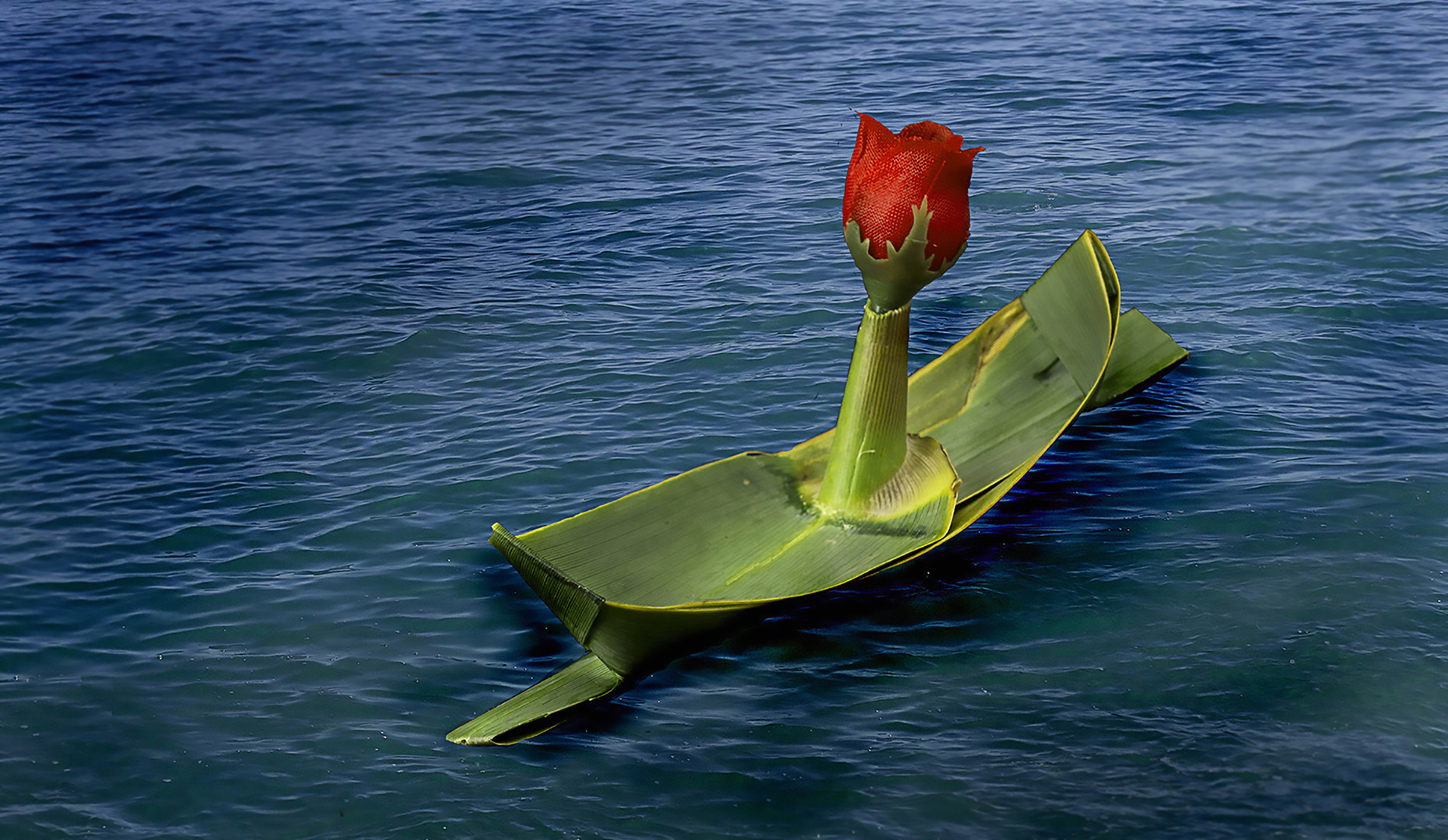 barquilla | Confederación Española de Fotografía