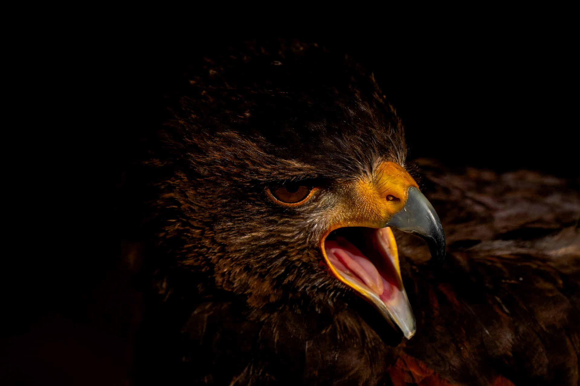 Chillido | Confederación Española de Fotografía