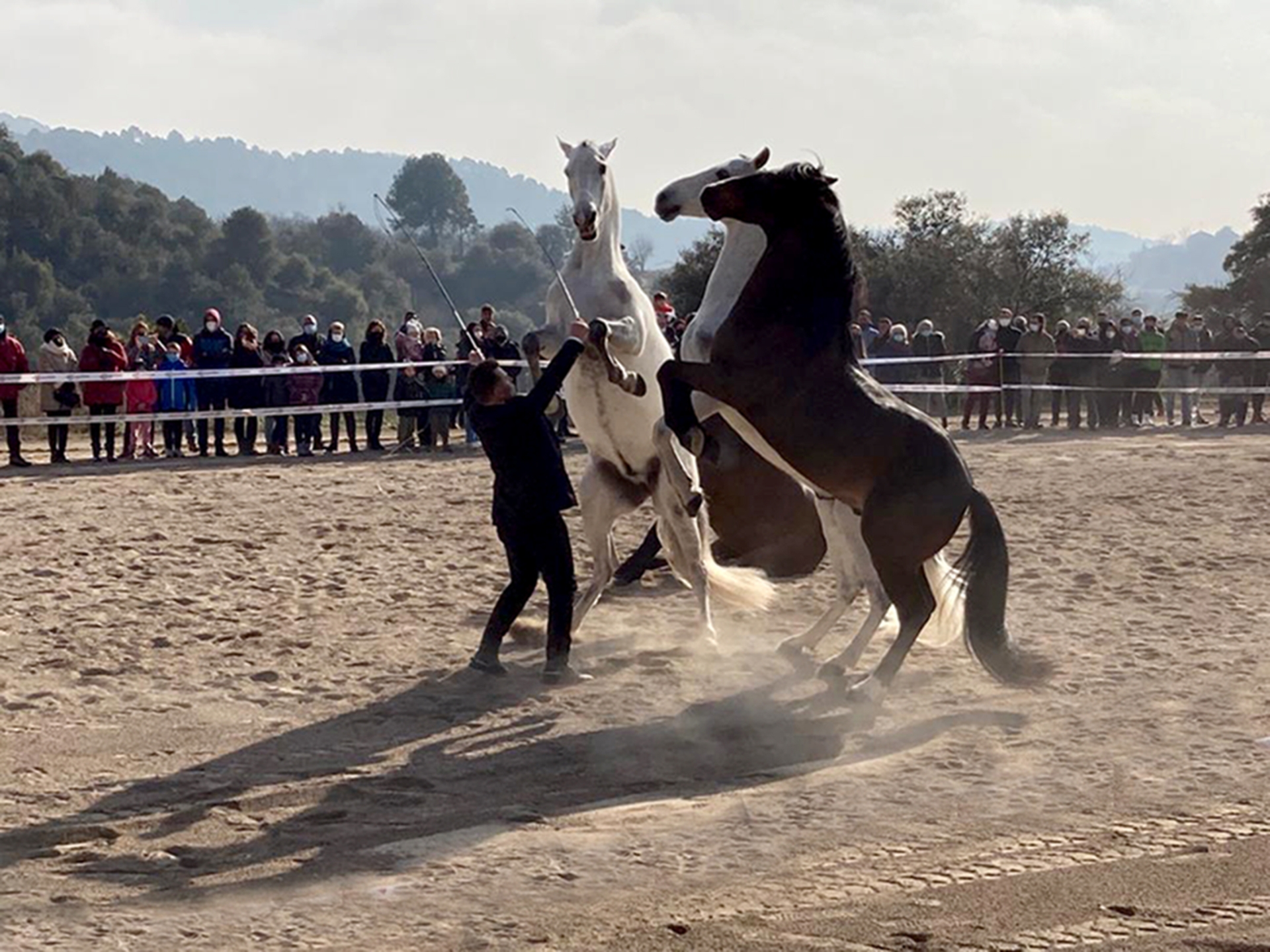 domador | Confederación Española de Fotografía