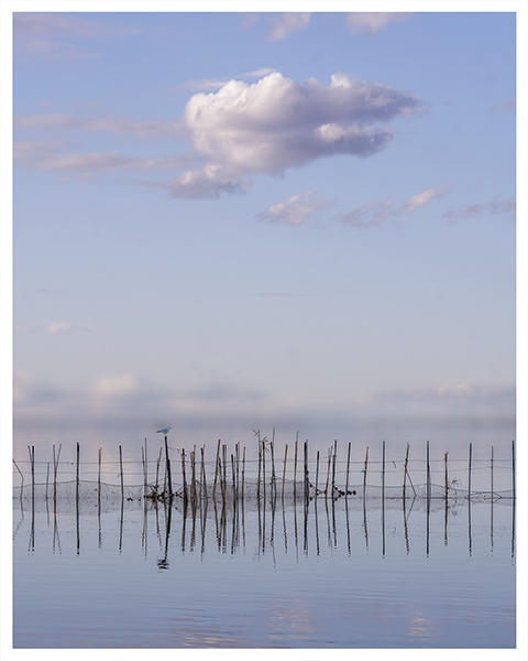 Azul II | Confederación Española de Fotografía
