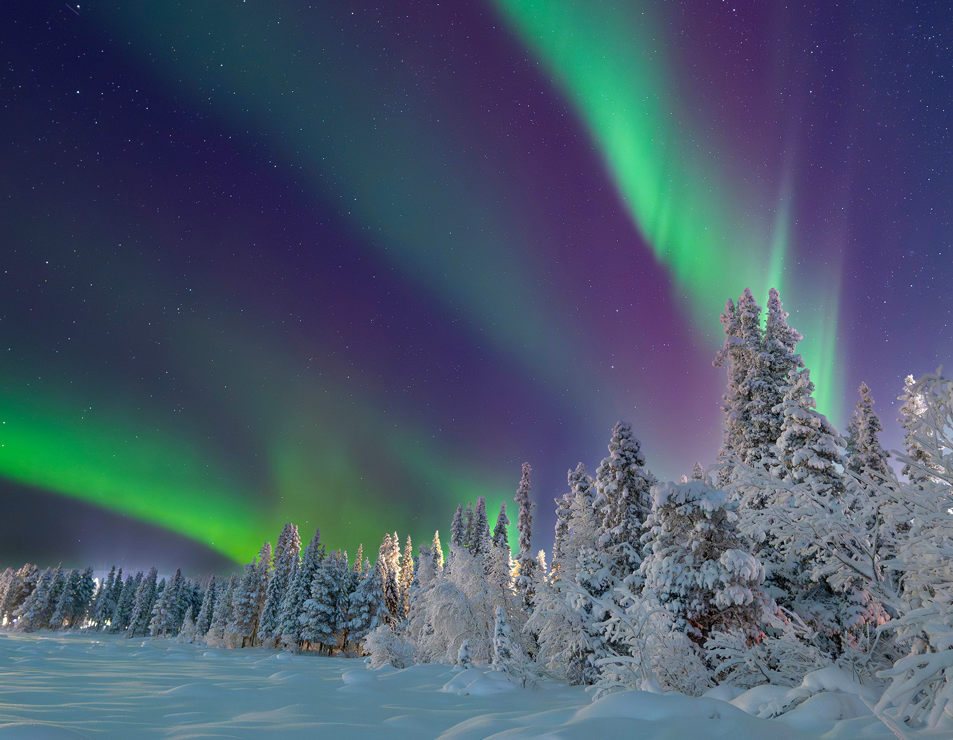 Aurora sobre la Taiga Ártica | Confederación Española de Fotografía