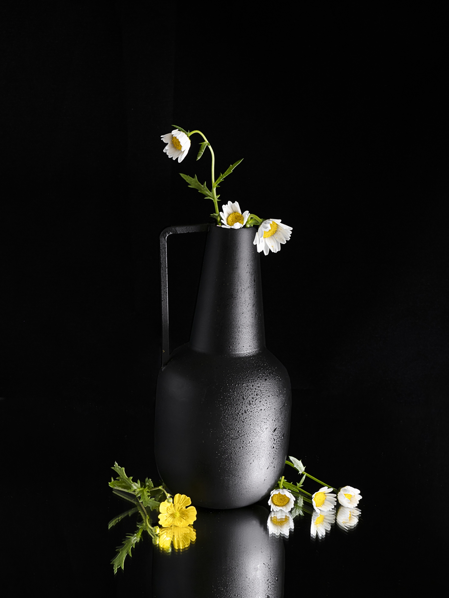 Primavera | Confederación Española de Fotografía