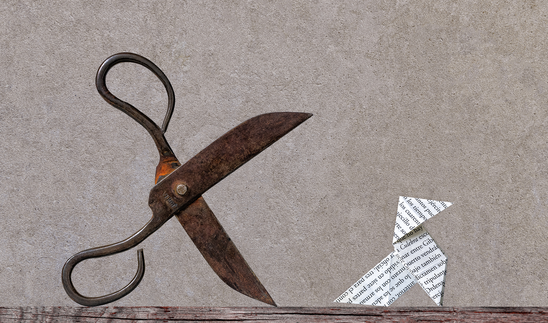 Tijera y papel | Confederación Española de Fotografía